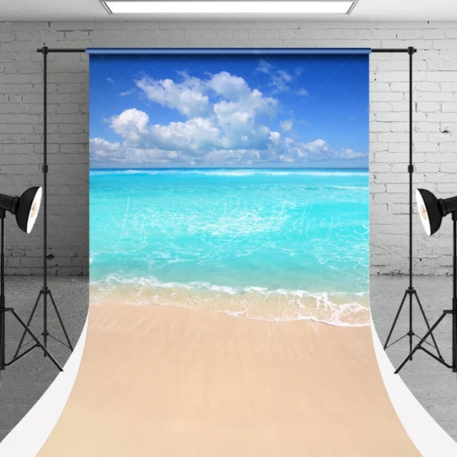 SAND BEACH BLUE Sky Coastal Sweep Backdrop For Photo $36.09 - PicClick AU