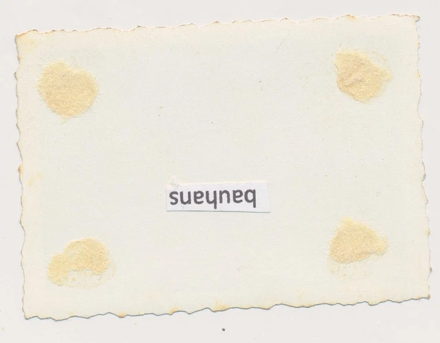 FOTO FRANKREICH LEICHTES Maschinengewehr MG 26(t) 79. Inf.-Division ...