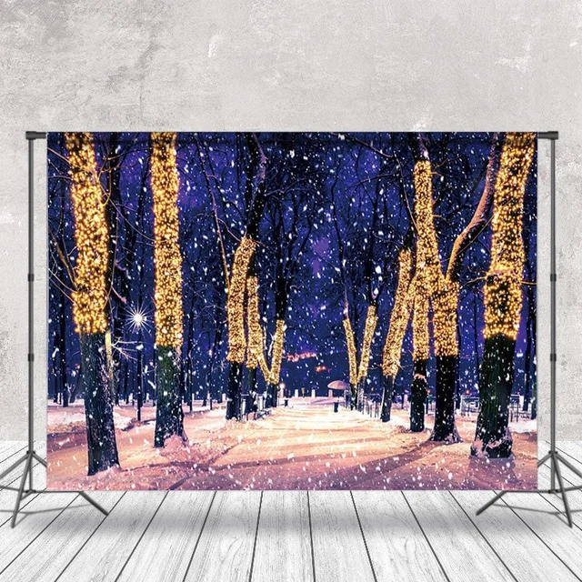 WINTER WONDERLAND ARCH Photography Backdrop, Snowy Christmas Forest ...