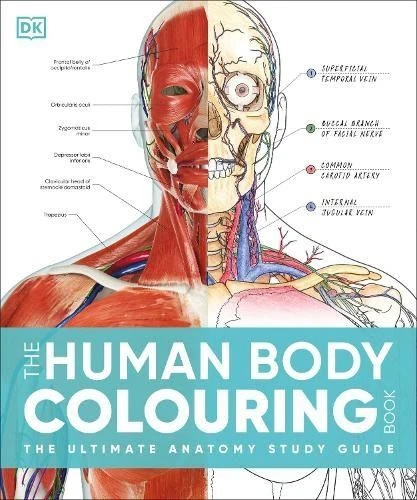 LE LIVRE DE coloriage du corps humain : le guide d'étude ultime de l ...