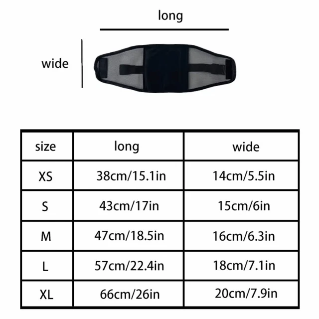 REUSABLE WASHABLE MALE Dog Wraps Belly Band Prevent Random Urination ...