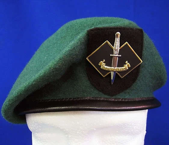 AUSTRALIA 2 COMMANDO Regiment Elite Special Forces Beret & Badge ...