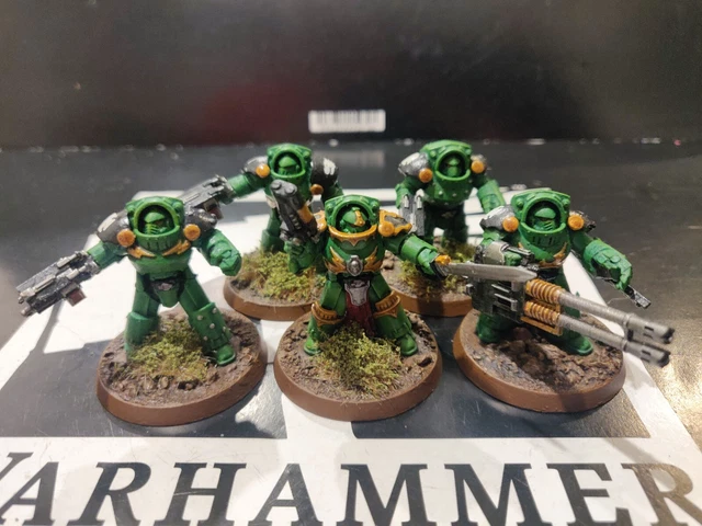 HORUS HERESY WARHAMMER 30k Salamanders Tartaros Terminators x5 NICE £29 ...