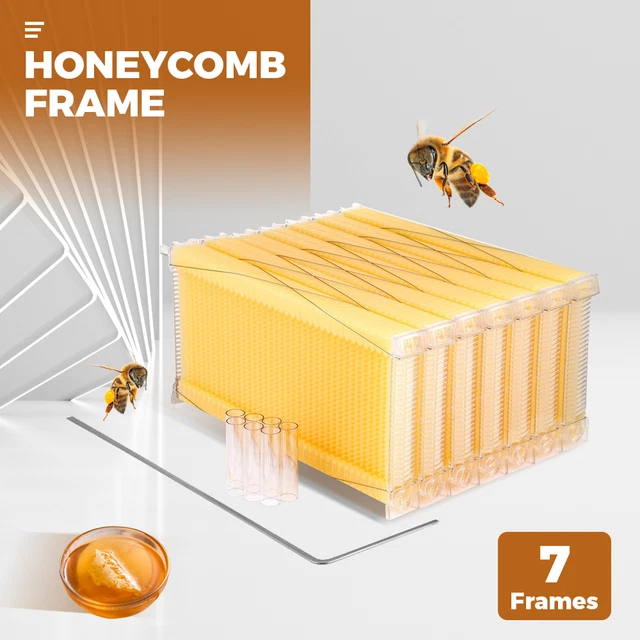 WOODEN BEEHIVE HOUSE comb 7 Upgraded Auto Honey Bee comb Hive Frame AU ...