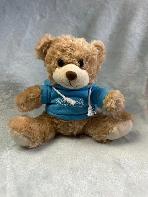 SILVERSTONE EXPERIENCE TEDDY bear Formula 1 British Grand Prix ...