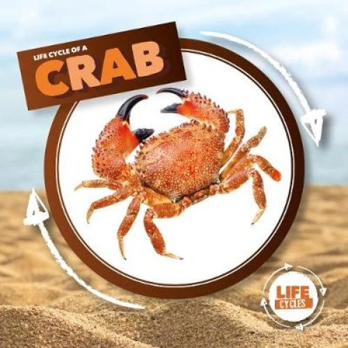 CRAB (LIFE CYCLE of A...) by Kirsty Holmes NEUF EUR 17,05 - PicClick FR