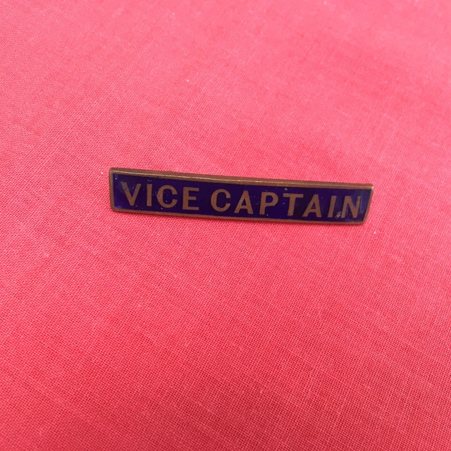 VICE CAPTAIN BADGE - 1960'S School Days- Xmas Stocking Filler- Buy Now ...