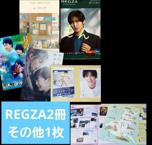 REGZA MEGURO REN Pamphlet Catalog Silent Location Map Ibaraki EUR 36,01 ...