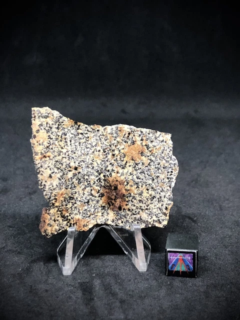 NEW 12.1G EUCRITE Meteorite In Classification! Part Of The HED Clan ...