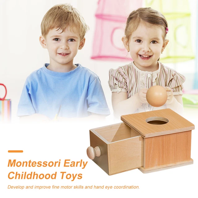 MONTESSORI WOODEN BALL Drawer Learning Shapes Sorting Math Puzzle Games ...