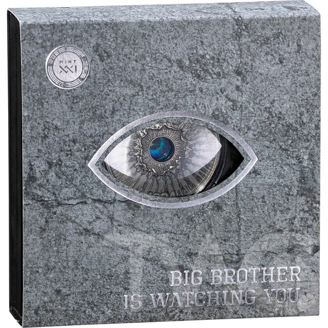 BIG BROTHER IS Watching You 2 oz Silver Coin CFA Cameroon 2023 £51.54 ...
