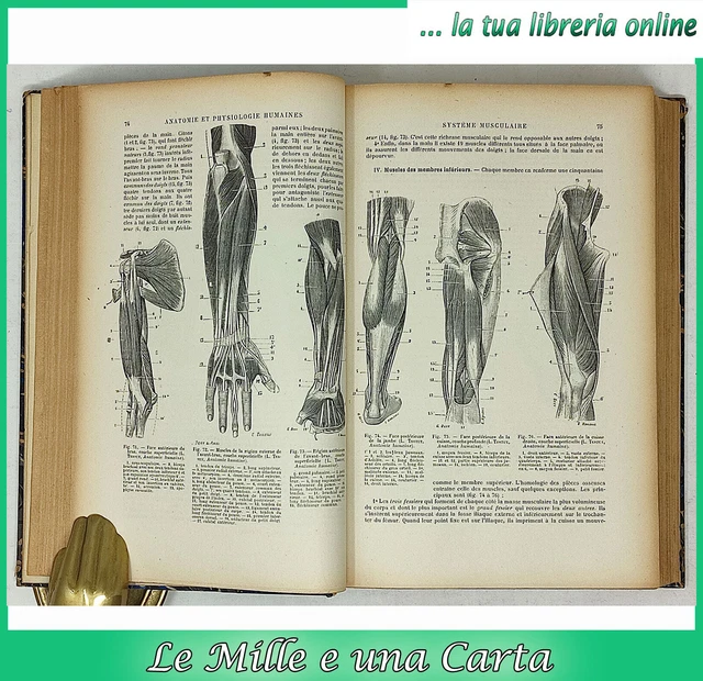 LIBRO ANATOMIA FISIOLOGIA umana zoologia ANATOMIE ET PHYSIOLOGIE ...