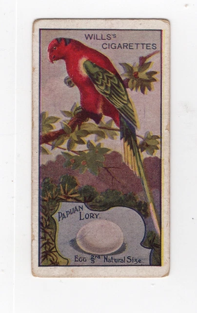 WILLS BIRDS OF Australasia 1912 (yellow back) #12 Papuan Lory $4.99 ...
