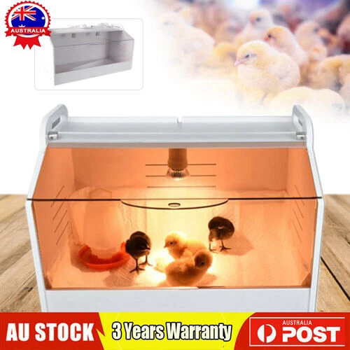 POULTRY, REPTILE, PARROTS Brooder 48*30*30cm Small Bird Breeding Box ...