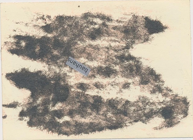 FOTO AUS NACHLASS Panzer Rgt.8 Böblingen,Panzer Tank abgeplant (5295a ...