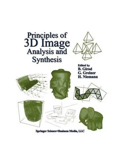 Prinzipien Der 3d Bildanalyse Und Synthese Von Bernd Girod Englisch Taschenbuch Eur 20761 