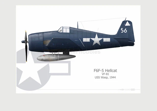 WARHEAD ILLUSTRATED F6F-5 Hellcat VF-81 #56 USS Wasp Aircraft Print EUR ...