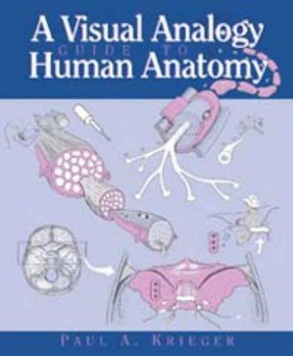 A VISUAL ANALOGY Guide to Human Anatomy by Krieger, Paul A. £18.27 ...