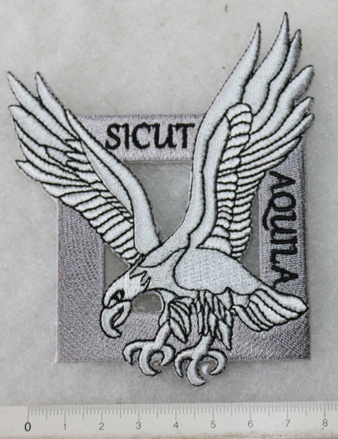 AIR COMMANDO RIFLE Badge, FUSCO, Air Force, COS $5.41 - PicClick