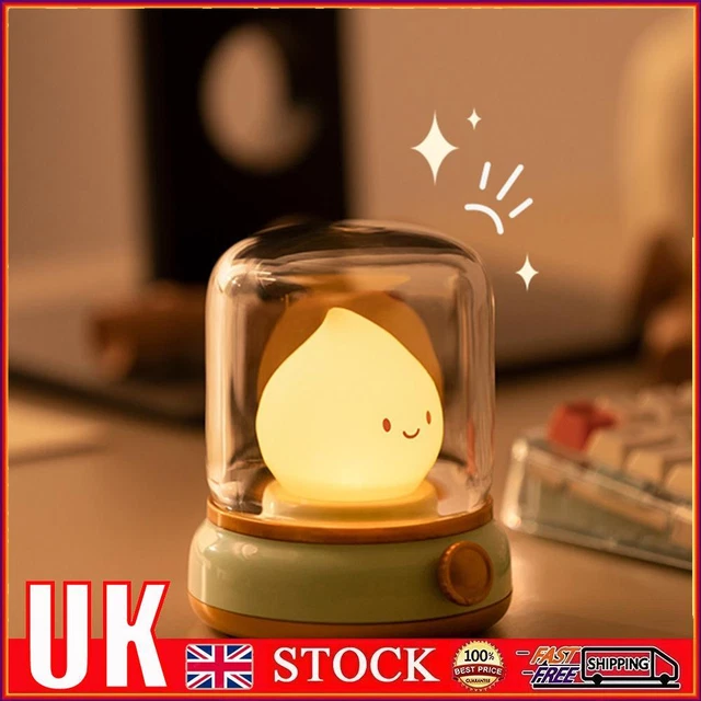 DESKTOP LED DECORATIVE Light USB Rechargeable Dimmable Kawaii ...