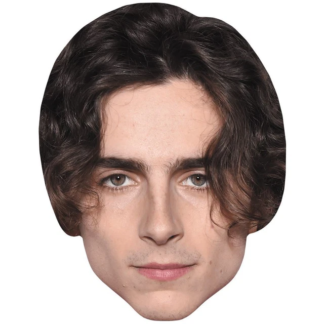 TIMOTHEE CHALAMET (LONG Hair) Big Head. Masque plus grand que nature ...