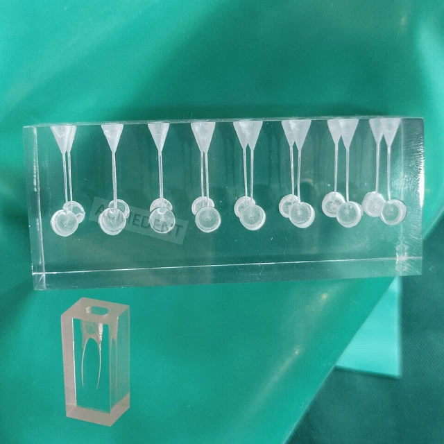 DENTAL ENDO ROTARY Files Practise Block Model Endo Training Files RCT ...