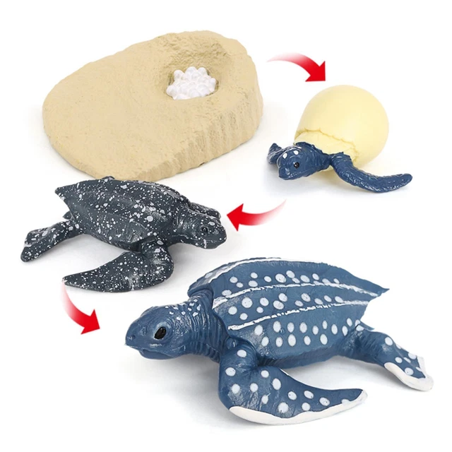 LIFE CYCLE OF Leatherback Turtle, Sea Cycle Model Figure Toy £9.41 ...