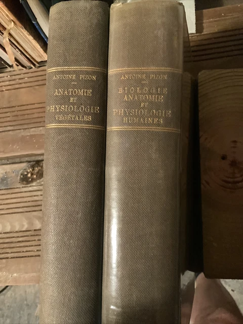 ANTOINE PIZON BIOLOGIE Anatomie Et Anatomie EUR 150,00 - PicClick FR