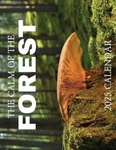 B PATRICK THE Calm of the Forest 2025 Calendar (Taschenbuch) (US IMPORT ...