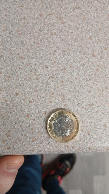 KING CHARLES £1 Bee Coins 2025 £5.45 - PicClick UK