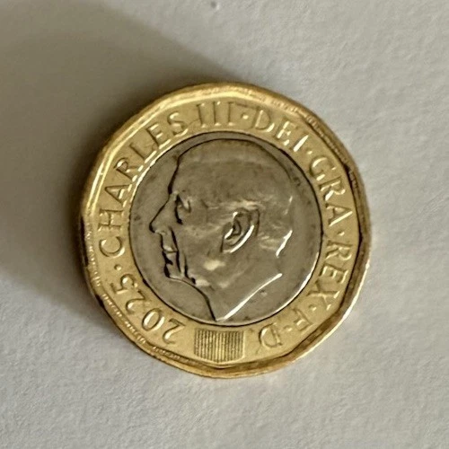 CHARLES III BEE 2025 £1 Coin £1.44 - PicClick UK
