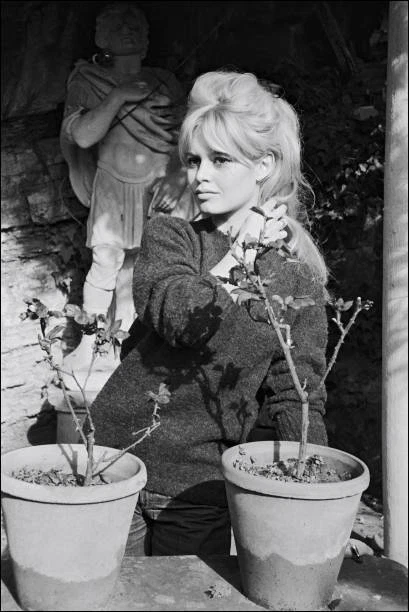 BRIGITTE BARDOT IN the filming of Le Repos du guerrier in Italy 1962 Old Photo 3 EUR 6,18 ...
