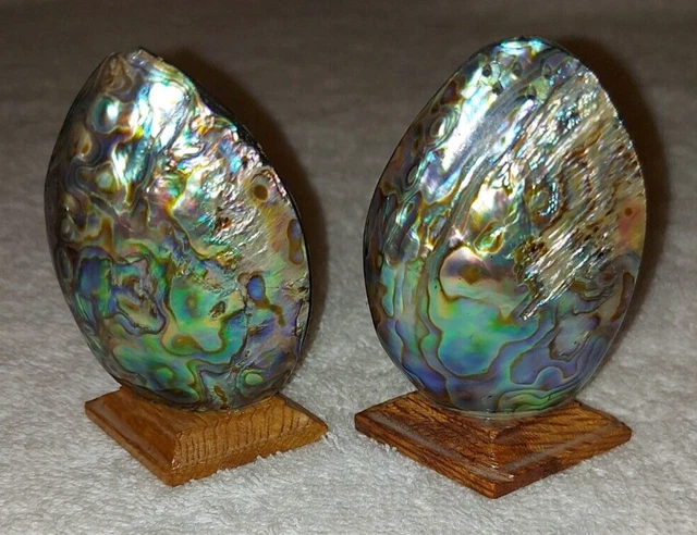 UNUSUAL VINTAGE PAUA Shell (Abalone Shell) 3" Salt & Pepper Pots by ...
