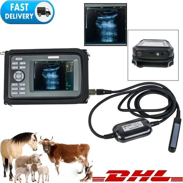 PORTABLE VETERINARY ULTRASOUND Scanner Unit Cow/horse/Animal 6.5M ...