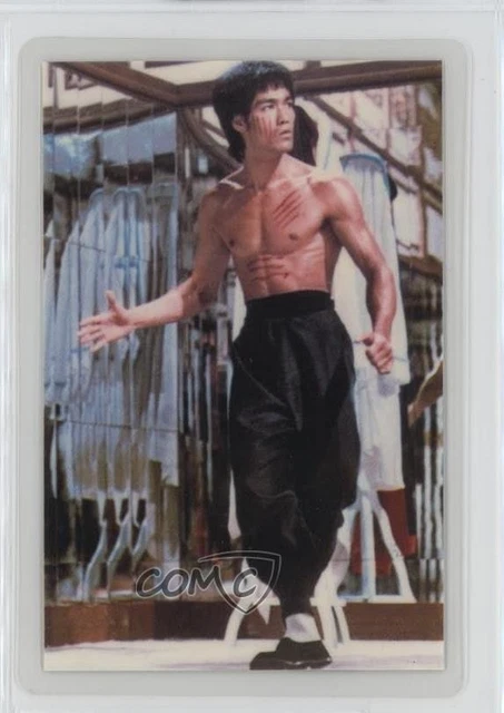 1981 YAMAKATSU FILE Pop Bruce Lee Laminated Bruce Lee #FC-229 07yc £10. ...