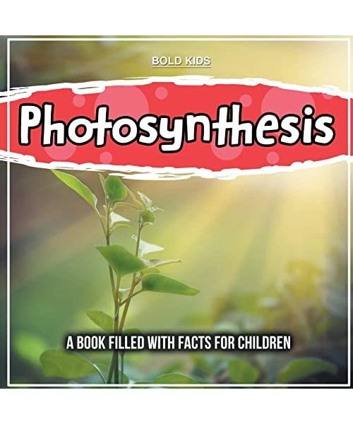 PHOTOSYNTHESIS: THE SCIENCE Behind This - Facts For Children, Bold Kids ...