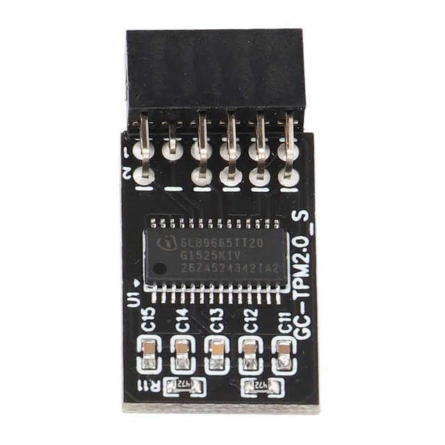 TPM 2.0 MODULE LPC SPI 12Pin Remote Card Encryption Security Board for ...