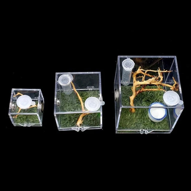 JUMPING SPIDER HABITAT Breeding Box Cages for Spider Small Insect New ...