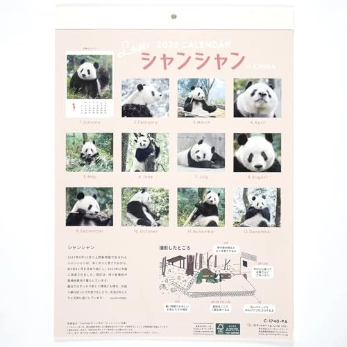 CALENDARIO DA PARETE Panda Xiang Xiang 2026 C-1740-PA EUR 30,32 ...