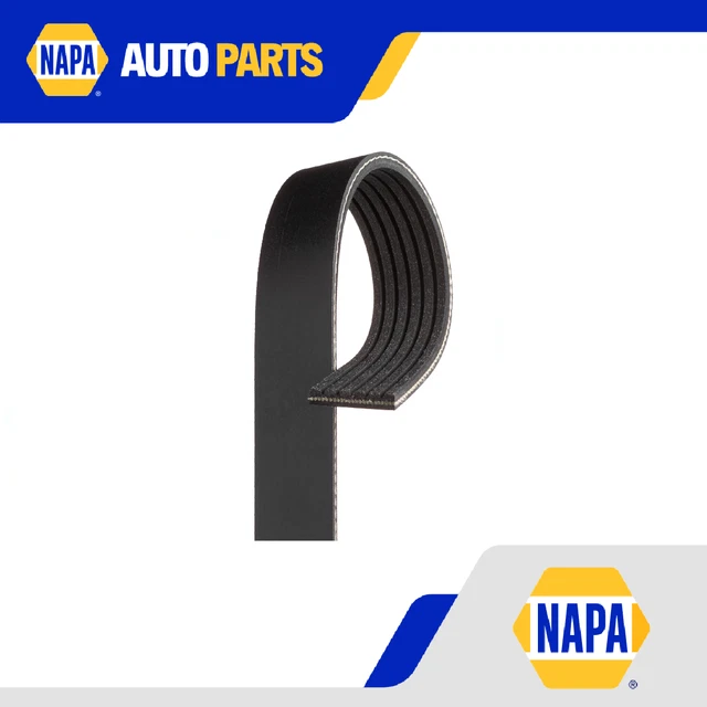 6 RIB MULTI V Drive Belt fits FORD Gates 1343139 1L538620CA 1387693 ...