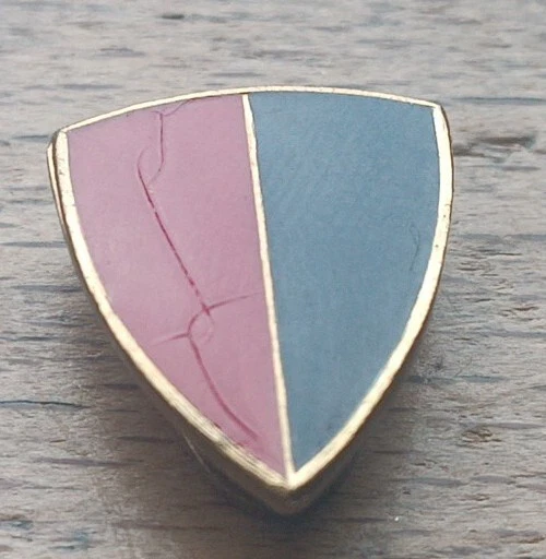 SPILLA PINS DISTINTIVO Stemma Simbolo Badge Logo Crest Club Genoa ...