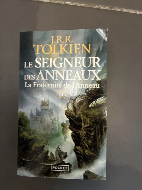 LE SEIGNEUR DES anneaux La Fraternité De L’anneau EUR 3,00 - PicClick FR
