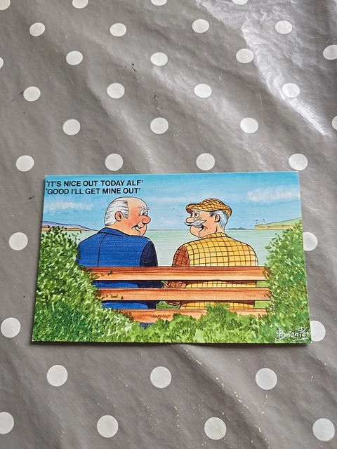 VINTAGE SAUCY SEASIDE Comic Postcard Bamforth Black Triangle No 2022 ...