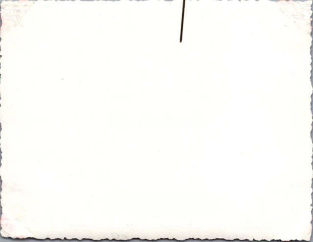 FOTO, EINSATZ AM Westwall, Pin Up Girl's im Vorfeld 1940 (MJ-118) EUR 4 ...