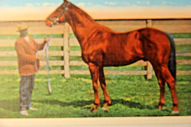 VINTAGE &MAN-O-WAR& THE Wonder Horse, Owned by Samuel D. Riddle Post ...