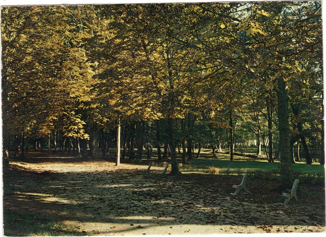 32 - CPSM - BARBOTAN LES THERMES - Le parc en automne EUR 5,00 ...