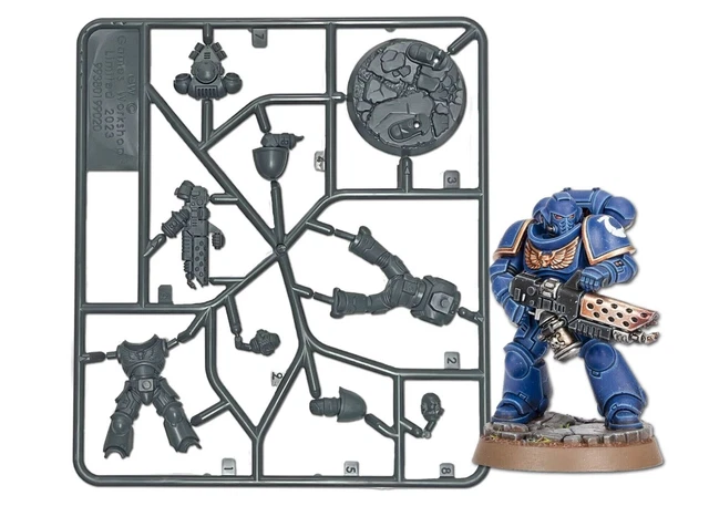 WARHAMMER 40K - Push Fit - Space Marine Primaris Intercessor Sprue ...