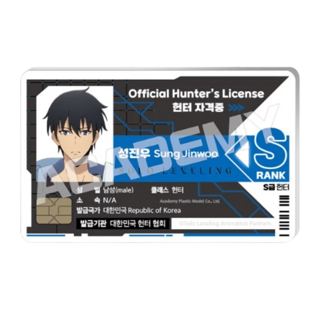 [OFFICIAL MERCH][SOLO LEVELING] Sung Jin-Woo S Acrylic Hunter Cards K ...