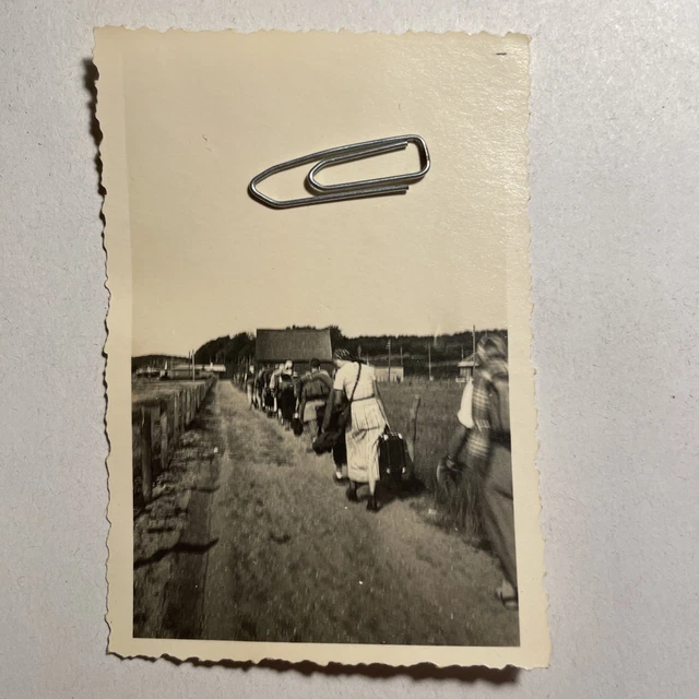 BDM BUND DEUTSCHER Mädel Blitzmädchen Frau Dame Maid 9x6 Original Foto ...
