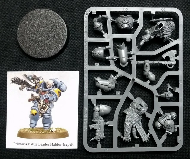 HALDOR EISFELL SPACE Wolves Primaris Battle Leader 40K Marine Axt ...